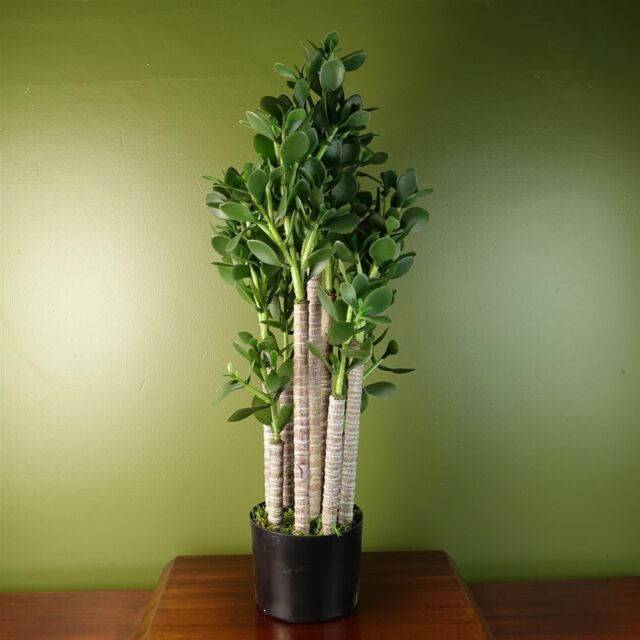 Leaf Artificial Deluxe 75cm Green Jade Plant by Debenhams | ufurnish.com