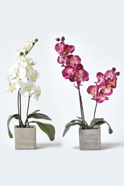 Homescapes Set of 2 Artificial Burgundy & Cream Orchids in Stone Pots ...