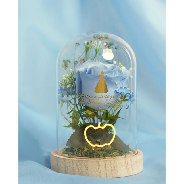 Disney Pastel Princess Florals In A Cloche With Neon Light - Cinderella ...