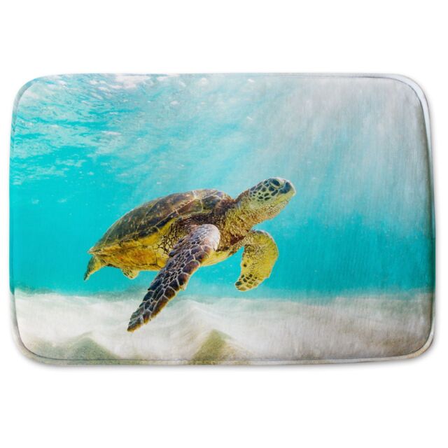 Benjamin Tate Design photo of Sea turtle in the Galapagos island ...