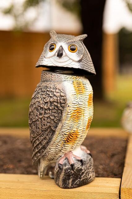 Marco Paul Swivel Head Owl Bird Deterrent Decoy by Debenhams | ufurnish.com