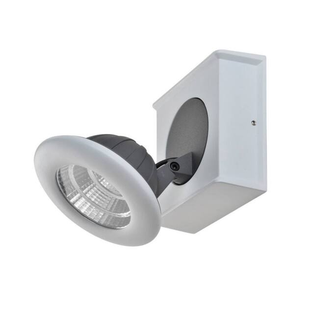 Netlighting Catalina Modern Single Spotlight LED 3000K in White by ...