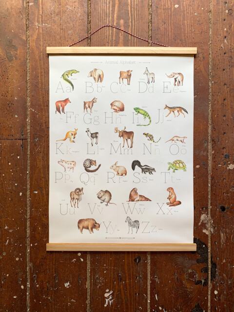 Animal Alphabet Poster by Etsy | uFurnish.com