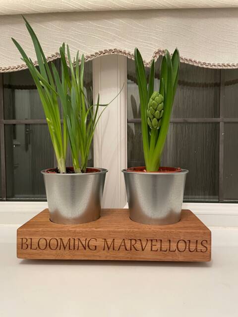 Engraved Solid Oak Herb Planter, Indoor Garden Box, Mother's Day Gift ...