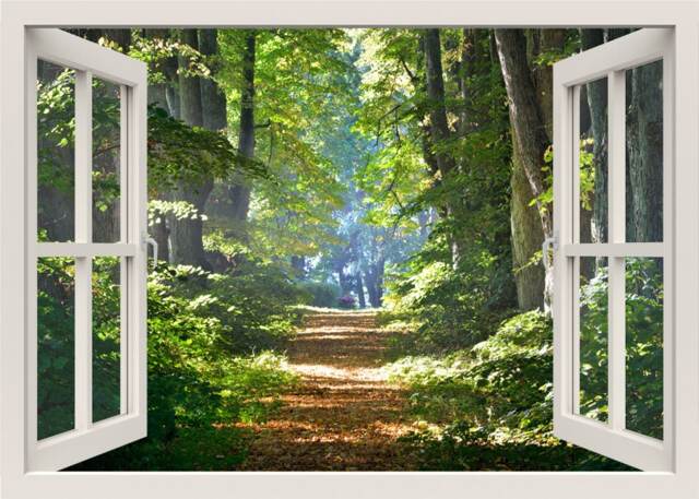 Forest Wall Decal, Walkway 3D Window Trees Sticker, Frame, View Home ...