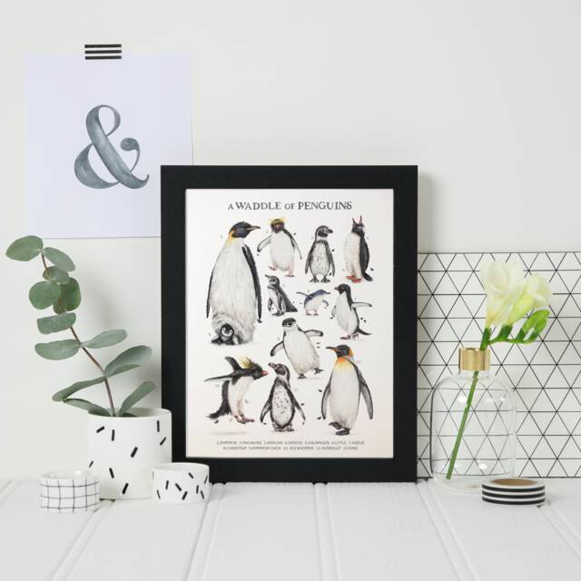 Penguin Art Print - Educational Wildlife Watercolour Wall by Etsy ...