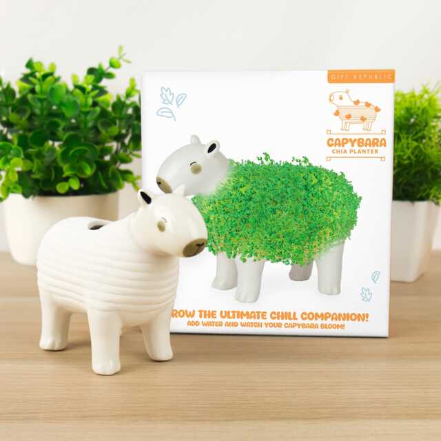 Capybara Chia Pet Planter Grow Kit Fun Novelty Gift by Etsy | ufurnish.com