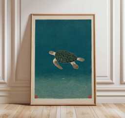 turtle poster ideas