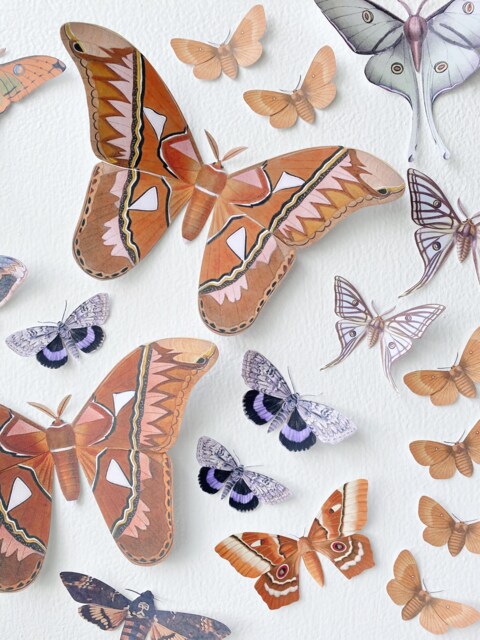 Vintage Paper Moths Home Decor by Etsy | ufurnish.com