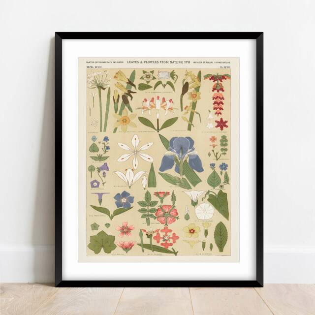 Owen Jones Vintage Botanical Print Leaves & Flowers Wall Art by Etsy ...
