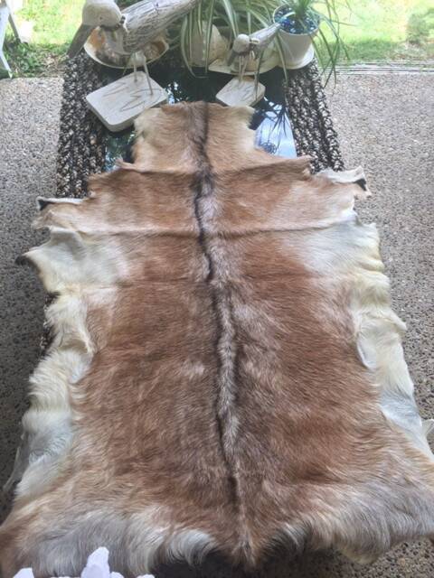 Genuine Goat Hide Rustic Decor, Various Colors - 110cm X 80cm by Etsy ...