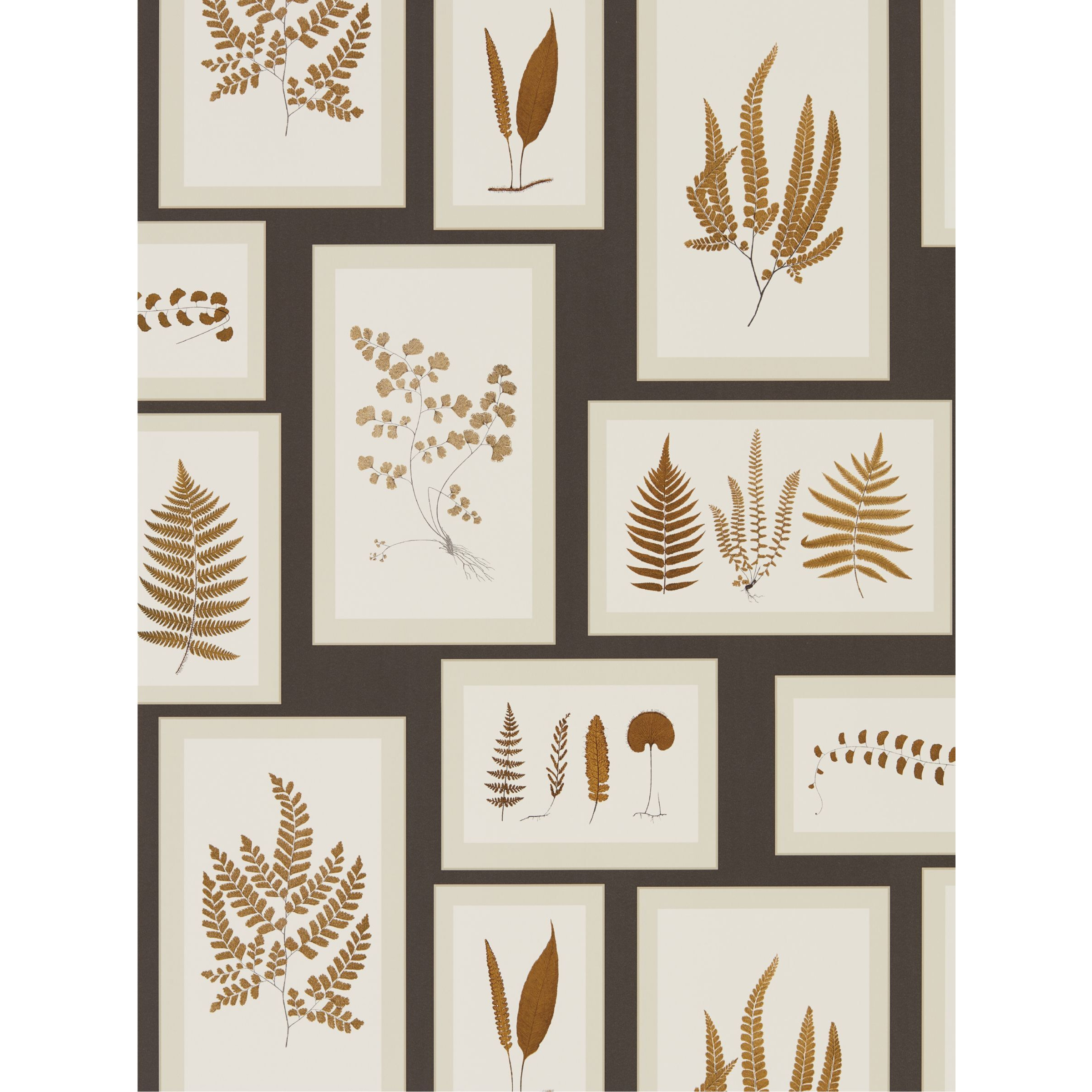 Sanderson Fern Gallery Wallpaper by John Lewis & Partners | ufurnish.com