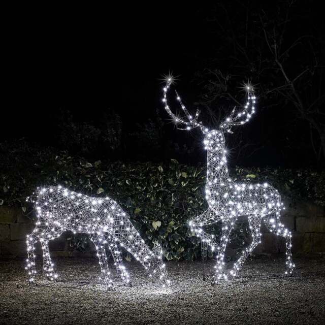 Large Solar Powered Studley Rattan Stag & Doe Dual Colour LED Light Up ...