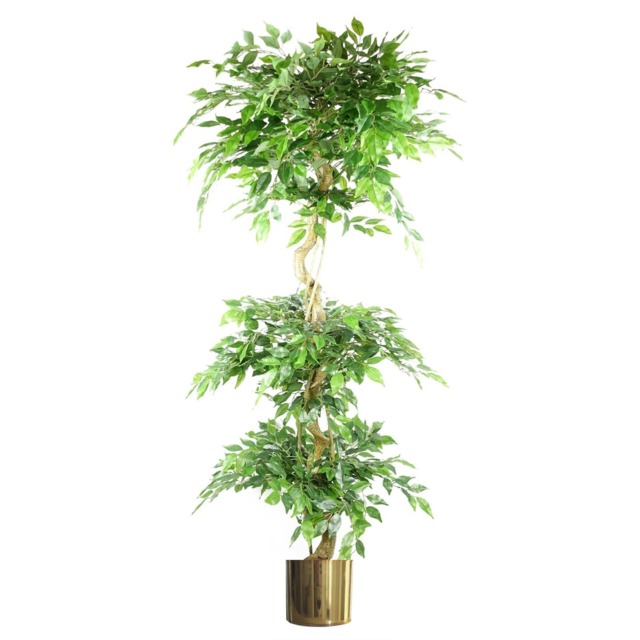 180cm Artificial Twisted Trunk Fruticosa Ficus Tree Triple Ball Topiary ...