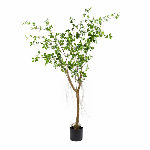 150cm real touch mini ficus tree green one size by Tesco - Marketplace ...
