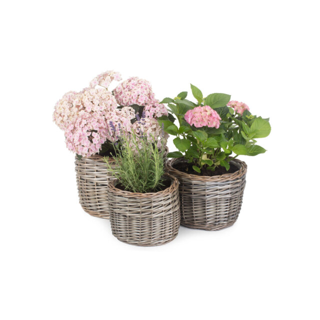 Lily Manor Wicker 3 Piece Planter Basket Set by Wayfair | ufurnish.com