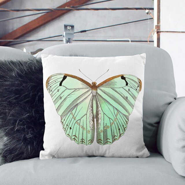 Laertes Butterfly by George Shaw Cushion with Filling by Wayfair ...