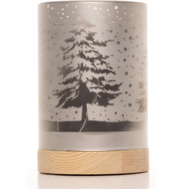 LED Indoor / Outdoor Single Christmas Light by Wayfair | ufurnish.com