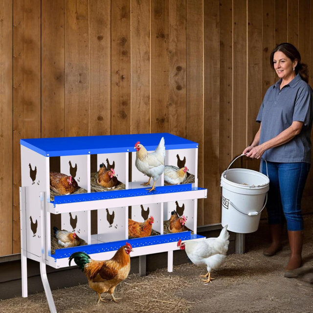 Chicken Nesting Box with Removable Tray, 8 Compartment Nesting Boxes ...