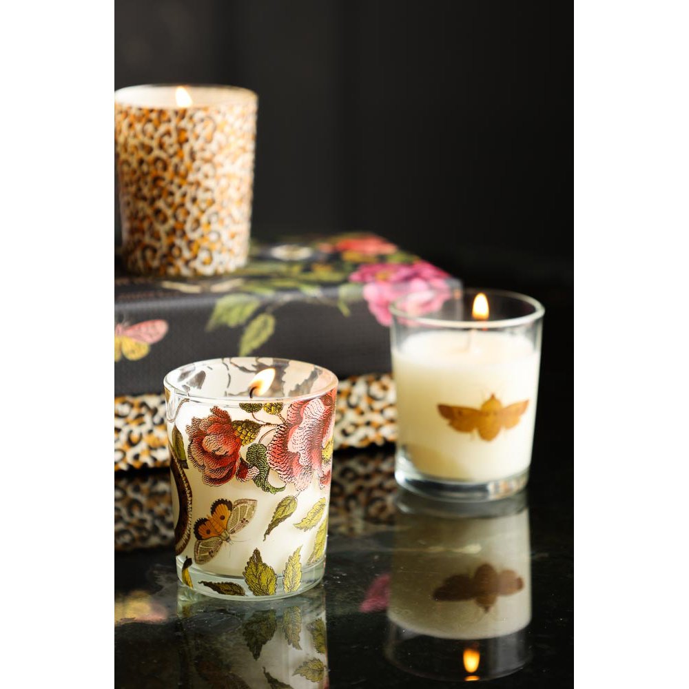 Spode Creatures Of Curiosity Set Of 3 Printed Votive Candles by Rockett ...