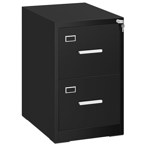 YITAHOME 2 Drawers Filing Cabinets with Cue Card Slot, Lockable ...