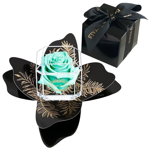 A 100% Real Rose That Lasts Years - Eternal Petals, Handmade in UK ...