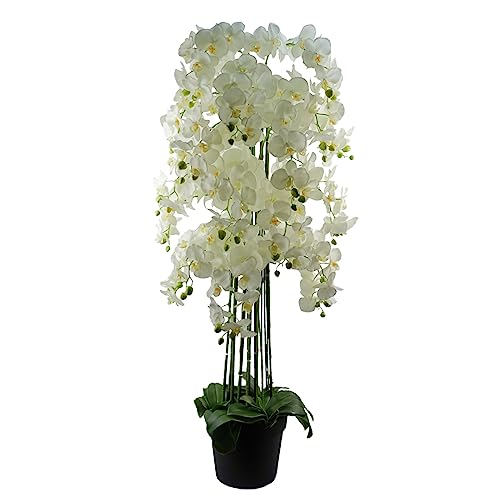Leaf Design UK Realistic Artificial Orchid Flower Display in Pot, 150cm ...