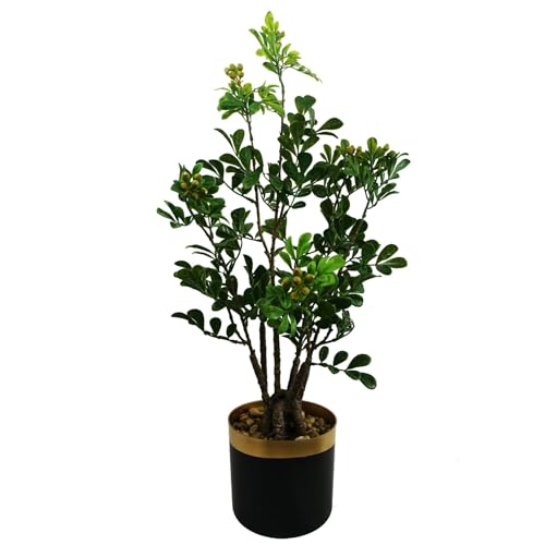 Leaf Artificial Bonsai Tree by Amazon | ufurnish.com