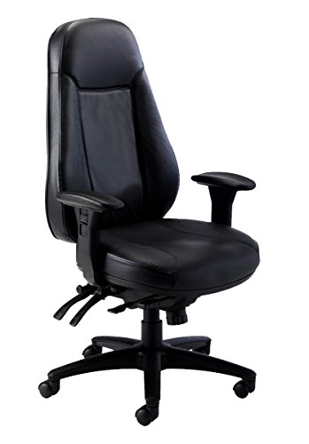 Office Hippo Desk Chair, Ergonomic Heavy Duty Office Chair,Highly ...