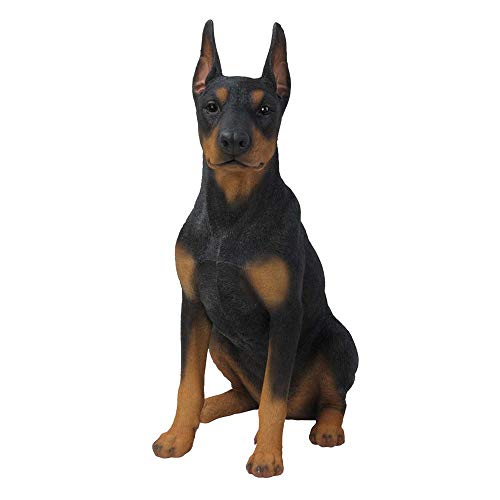 Hi-Line Gift Ltd Sitting Doberman Pinscher Dog Statue by Amazon ...