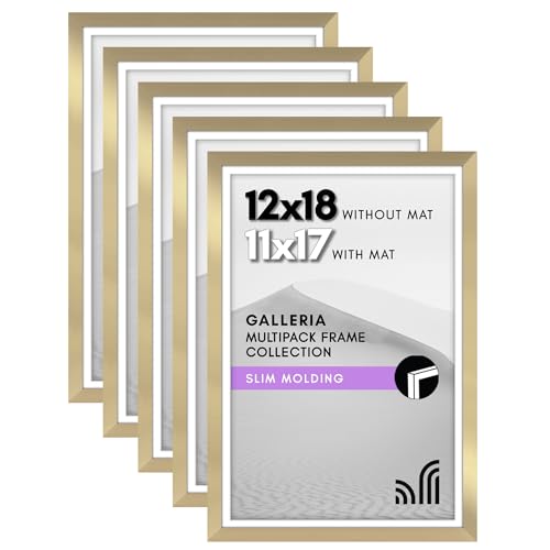Americanflat 12x18 Picture Frame Set of 5 in Gold - Use as 11x17 ...