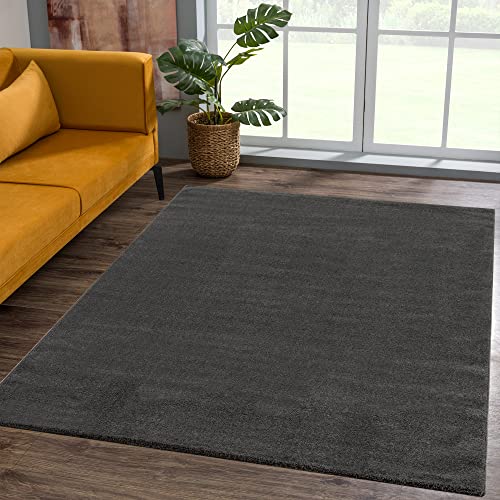 SANAT Short Pile Living Room Rug - Plain Modern Rugs for Bedroom, Study ...