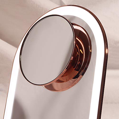 Fancii Lara Detachable 10X Magnifying Mirror, Magnetic Attachment ...