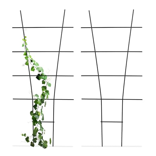 Relaxdays Metal Plant Support, Set of 2, Climbing Aid, Trellis for ...