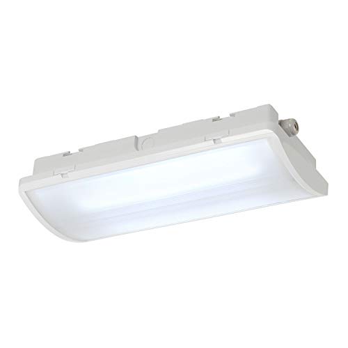 SLV P Walls, Paths, entrances, LED, Surface-Mounted Light Outdoor ...