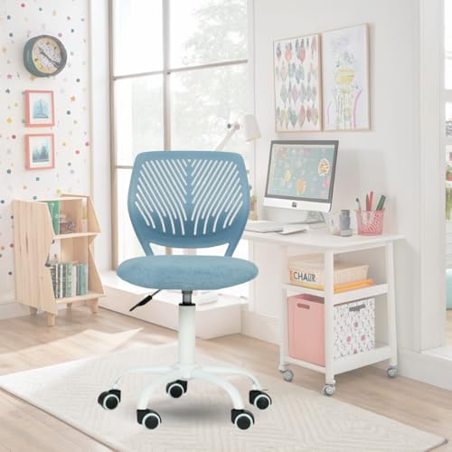FurnitureR Colourea Office Chair, Ergonomic Swivel Seat with Adjustable ...