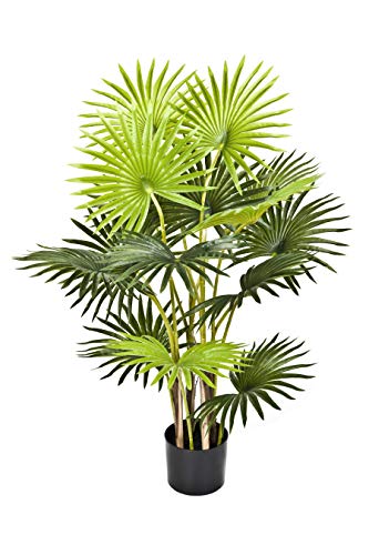 Artificial 95cm Fan Finger Palm Tree in Pot by Amazon | ufurnish.com