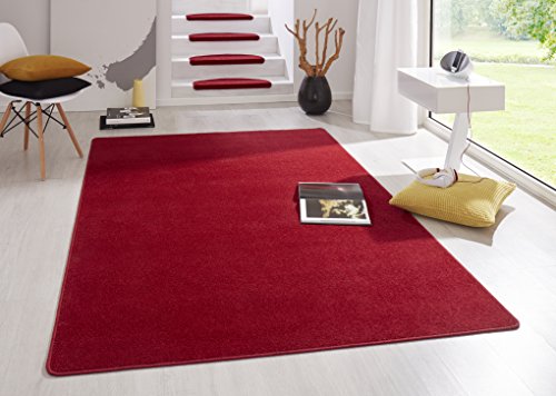 HANSE Home Indoor Fancy Rug - Living Room Rug Plain Modern Velour Rug ...
