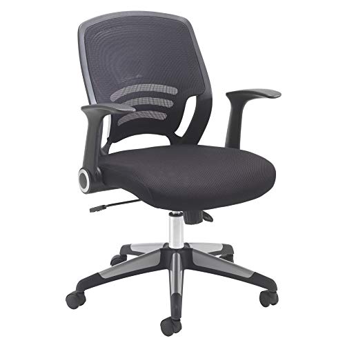 Office Hippo Desk Chair, Ergonomic Mesh Back Computer Chair With ...