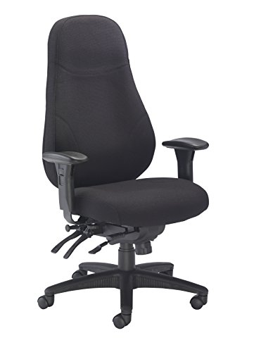 Office Hippo Desk Chair, Ergonomic Heavy Duty Office Chair,Highly ...