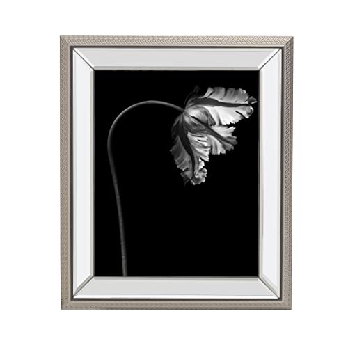 MIKASA 11 x 13 Inch Mirror Frame, Display 8 x 10 Photo, Silver Rope by ...