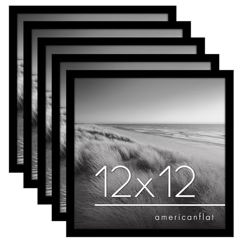 Americanflat 12x12 Picture Frame with Polished Plexiglass - Set of 5 ...