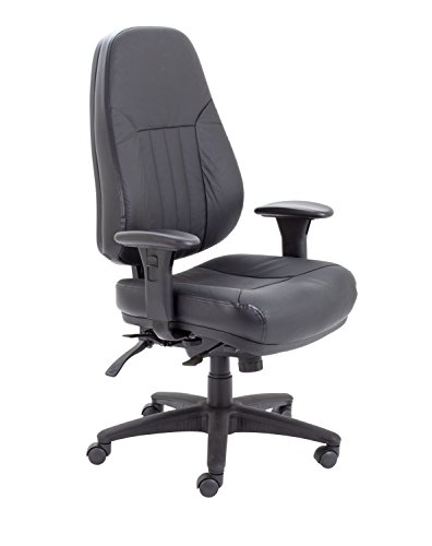 Office Hippo Desk Chair, Ergonomic Heavy Duty Office Chair, Highly ...
