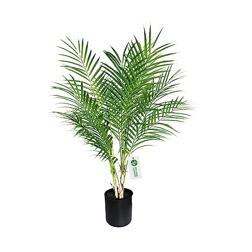 BESAMENATURE Artificial Paradise Palm Tree Plant, Indoor Artificial ...