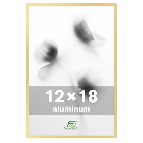 FrameWorks 12” x 18” Gold Brushed Aluminum Poster Picture Frame with Plexiglass 1-Pack by Amazon ...