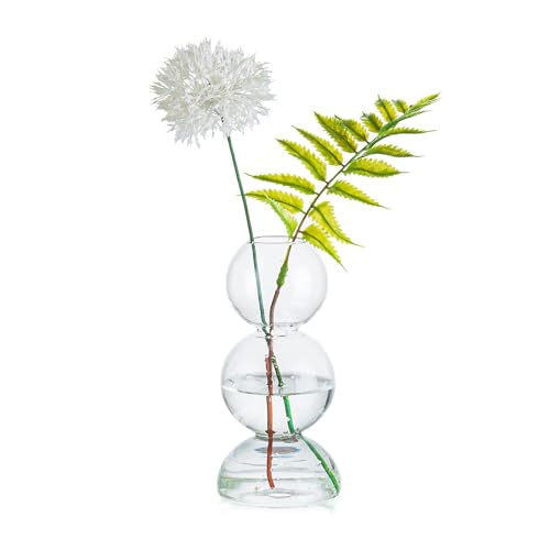 Glasseam Small Clear Round Vase for Flowers - Cute Glass Decor for ...