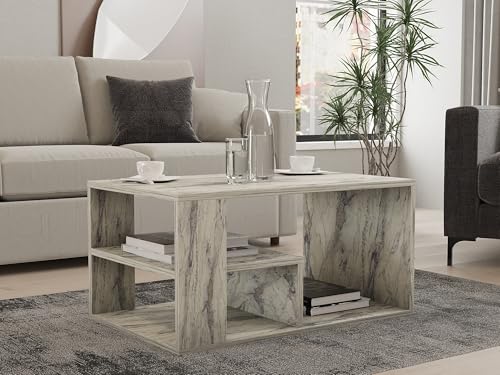 Hanah Home Elegant Freesia Marble Coffee Table, 80 x 50 x 40 cm, 100% ...