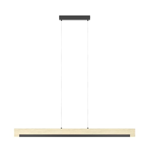 Eglo LED pendant lighting Camacho, dimmable hanging lamp, ceiling light ...