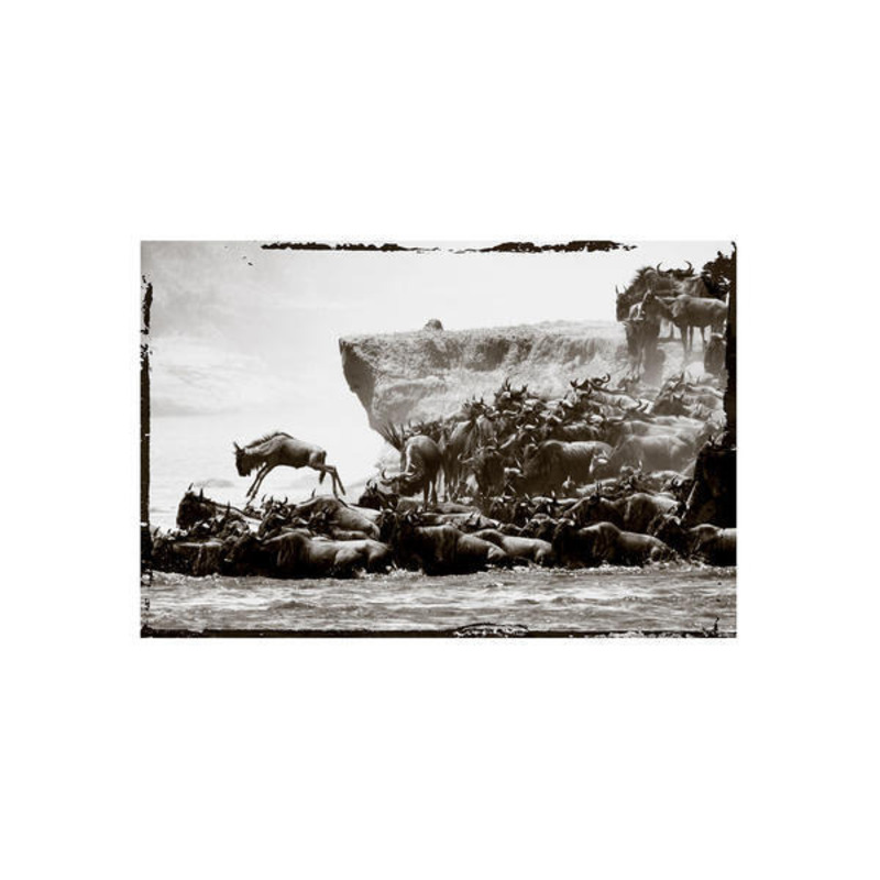 River Passing, Plexiglass Artwork, 120cm x 80cm, Black & White - Andrew ...