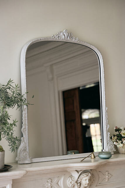 Gleaming Primrose Mirror by Anthropologie | ufurnish.com